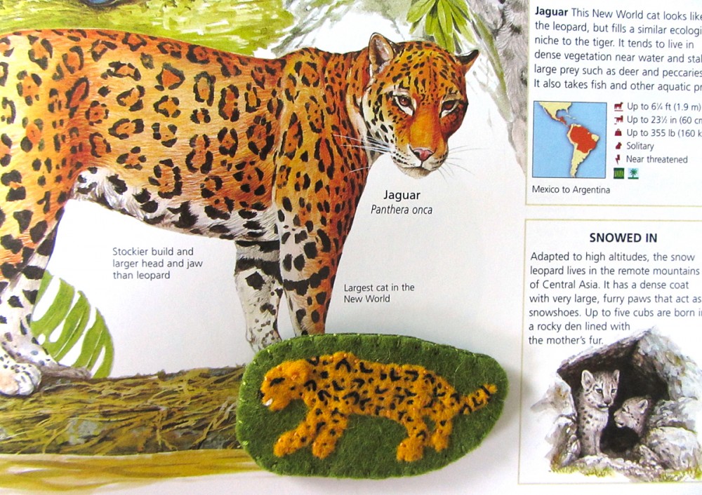 Animals of South America for the Montessori Wall Map & Quietbook with ...