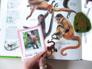 Animals of South America for the Montessori Wall Map & Quietbook with ...