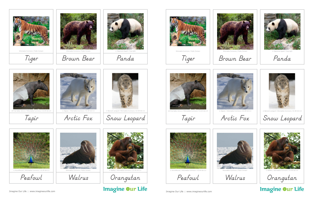 Animals of Asia for the Montessori Wall Map & Quietbook with Printables ...