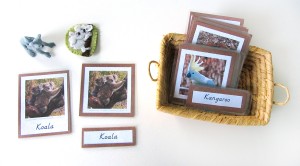 Animals of Australia for the Montessori Wall Map & Quietbook with ...