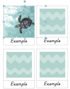 DIY Montessori 3-Part Cards | Imagine Our Life